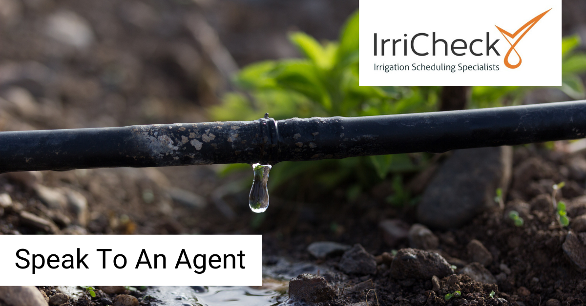 Turn-key Services - IrriCheck Irrigation Scheduling