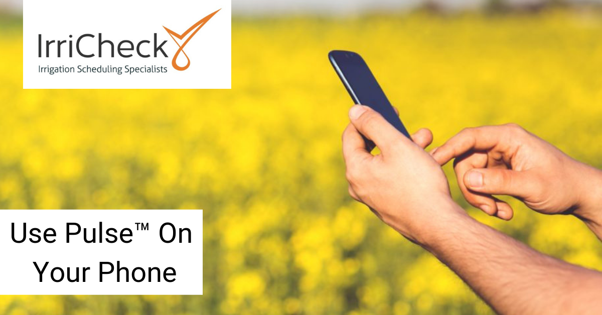 Pulse™ Irrigation Scheduling Software Irricheck Irrigation Scheduling